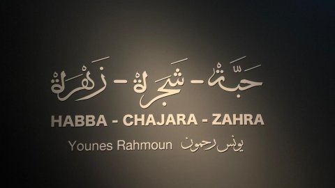 Le MMVI accueille « Habba – Chajara – Zahra » de Younes Rahmoun | e ...